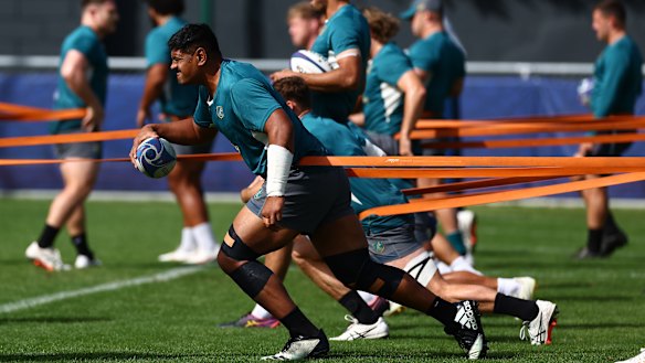 Rugby World Cup 2023: Peter FitzSimons - A World Cup with jokers in the ...