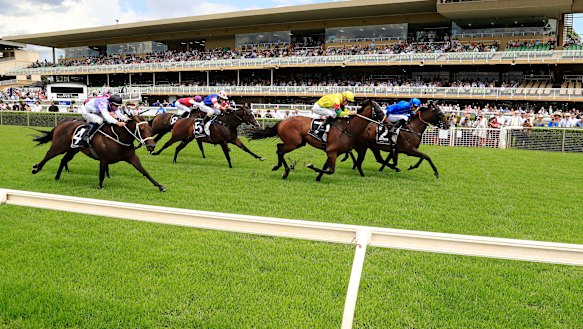 After injury layoff, Smith gelding ready to step up at Warwick Farm