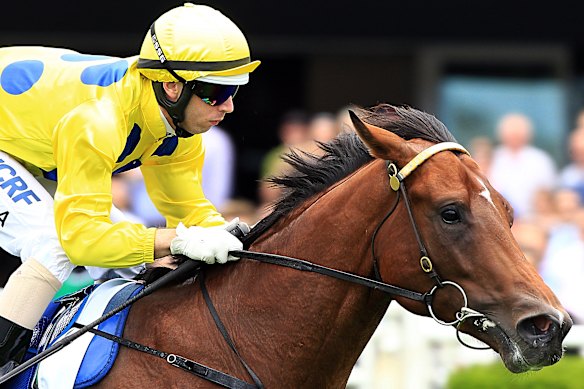 Cubix squares up against talented rivals for metro shot