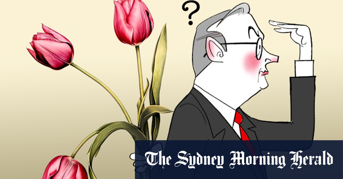 Cartoons of the week