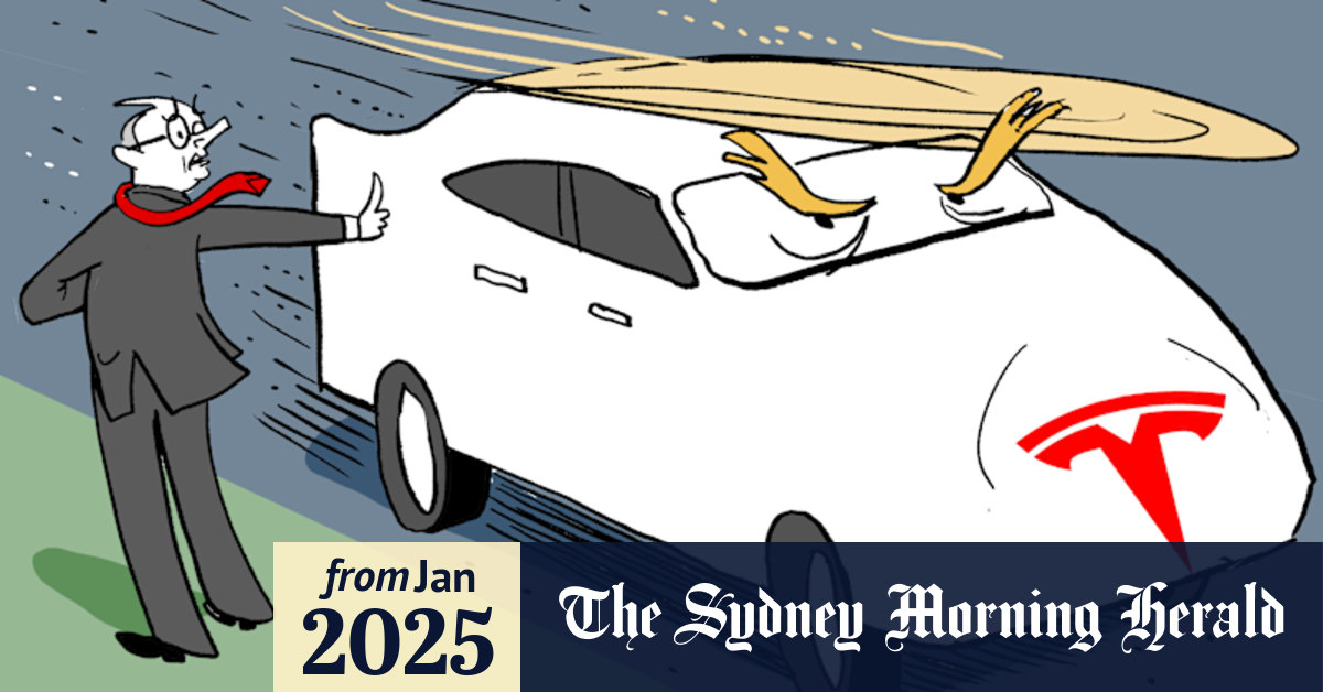 Best of cartoons, January 24, 2025