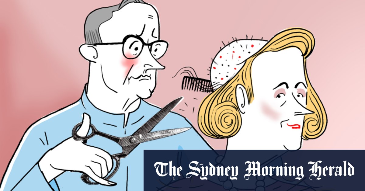 Best of cartoons, January 24, 2024