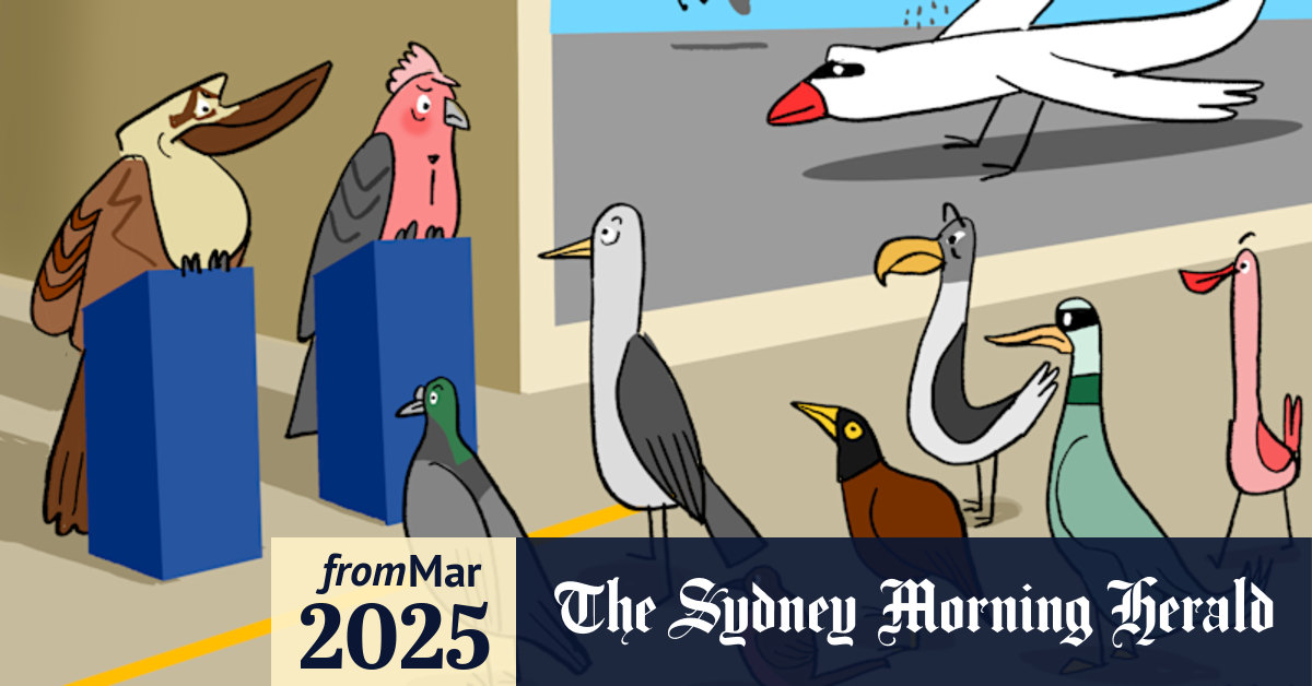 Cartoons of the week