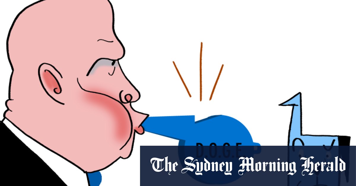 Cartoons of the week