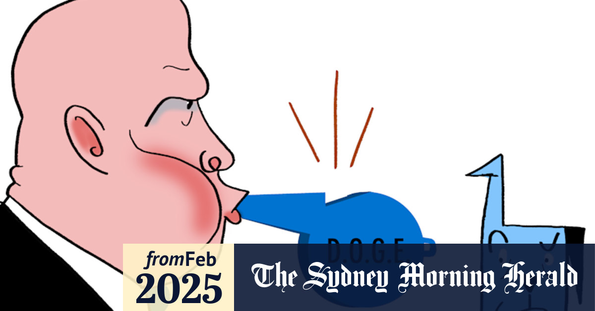 Cartoons of the week