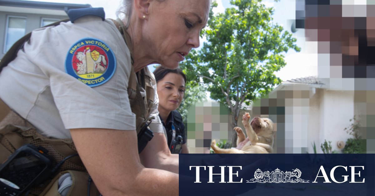 RSPCA inspectorate: How real life pet detectives conduct their ...