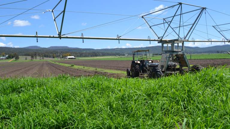 How a Lockyer Valley farm can help save the Brisbane River