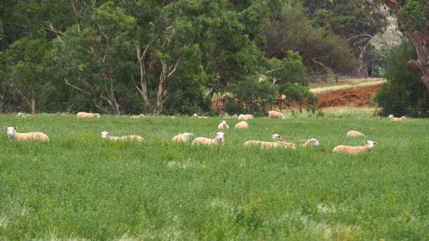 Sir Michael Hintze grows farm portfolio with $21m Viridis Ag deal
