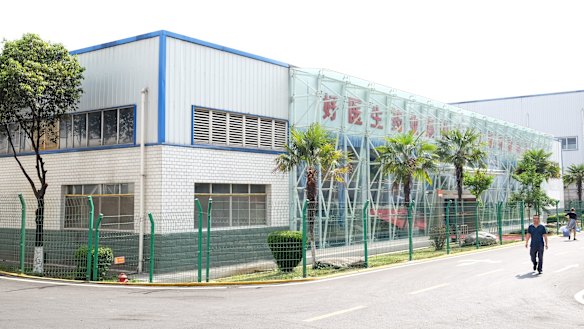 My day in a Chinese cockroach factory