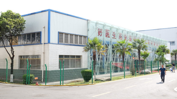 My day in a Chinese cockroach factory