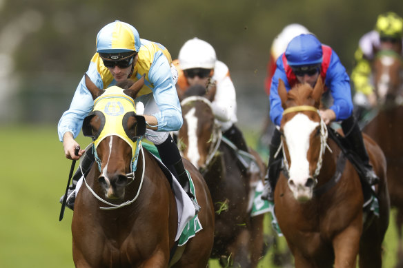 Race-by-race preview and tips for Coonamble on Sunday