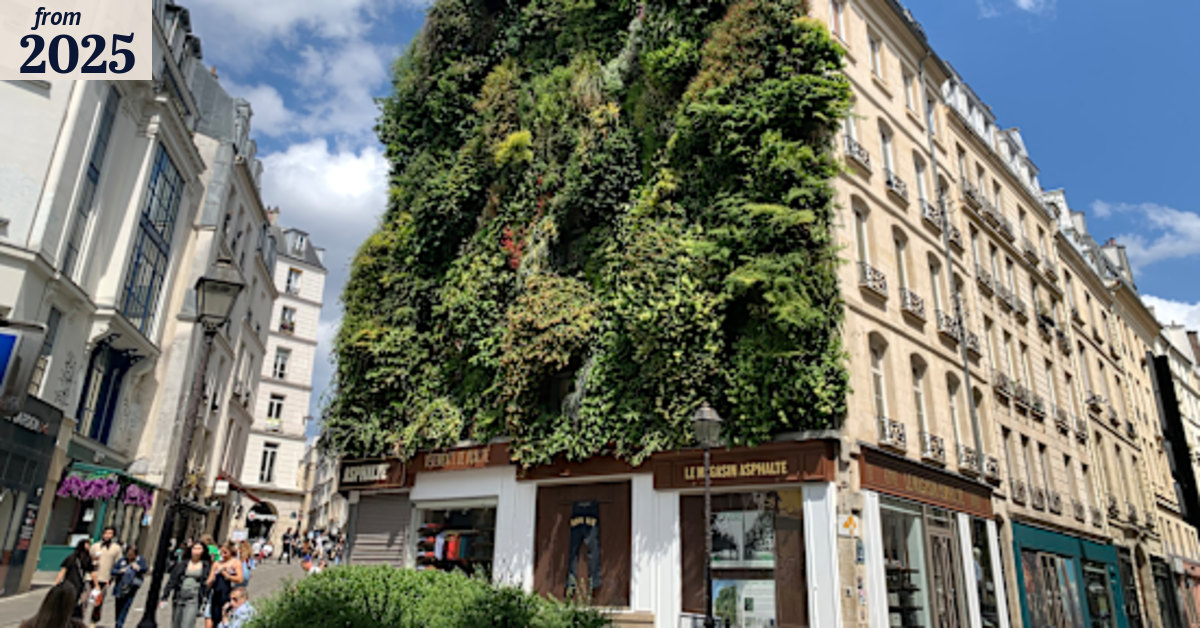 How rewilding is transforming Paris streets and parks