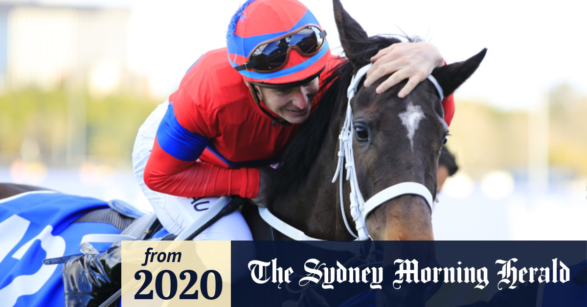 George Main Stakes: How Chris Waller's team turn Verry Elleegant into a ...