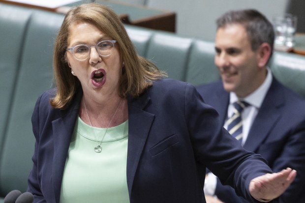 Qantas scandal: Peter Dutton targets Catherine Dutton targets King over ...