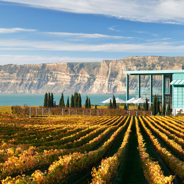 With 230 vineyards, here’s how to tackle NZ’s Wine Trail