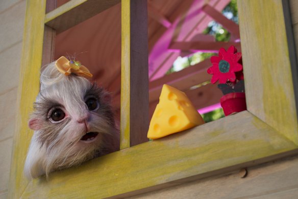 Knee High Spies: Kangaroo Beach creator Tim Bain's new series features ...