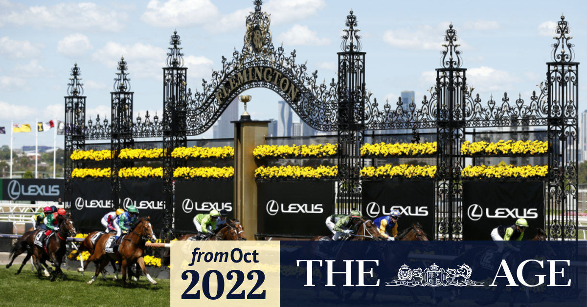 Spring Racing Carnival 2022: Guide to the 24 Melbourne Cup runners