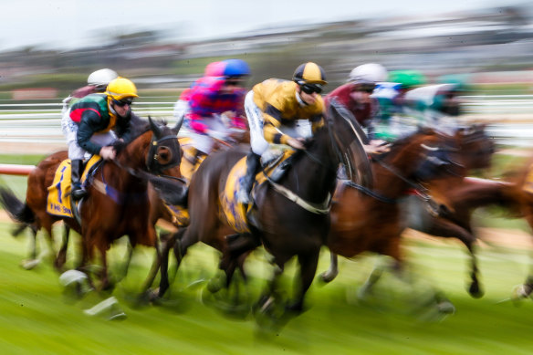 Early plans on the line on big day for Scone stables