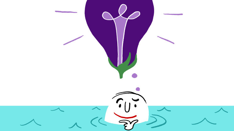 how to draw water from eggplant