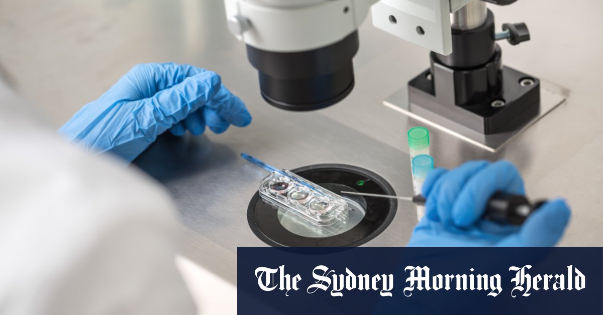 AI: Artificial intelligence embryo selection starting in IVF