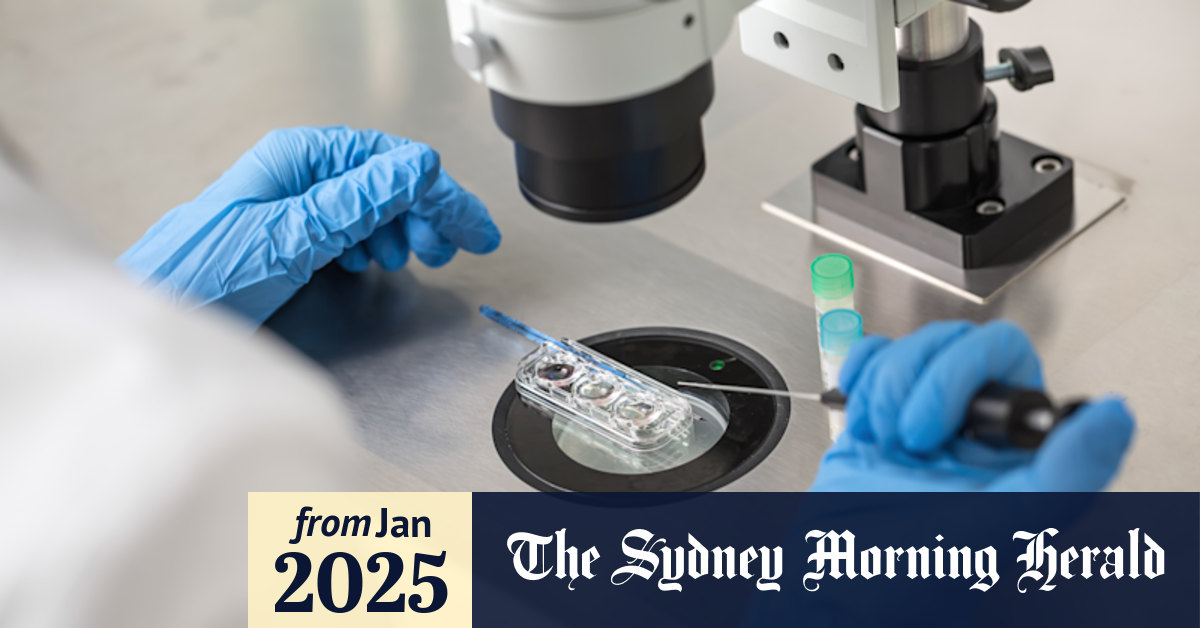 AI: Artificial intelligence embryo selection starting in IVF