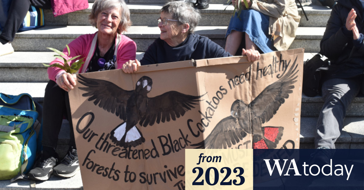 Perth activists call for ban on mining in the jarrah forest at national ...