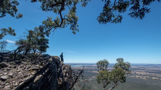 Rediscovered rock art reveals an ancient monster