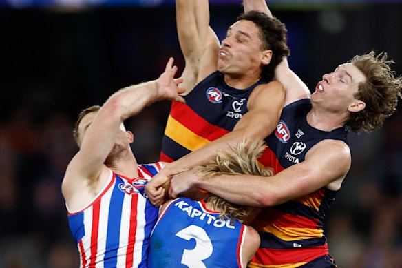 Western Bulldogs vs Adelaide Crows LIVE: AFL round 14 2026, scores ...