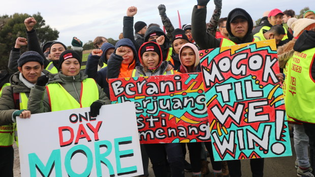 Australia inflation: Farm workers strike for CPI pay rises despite ...