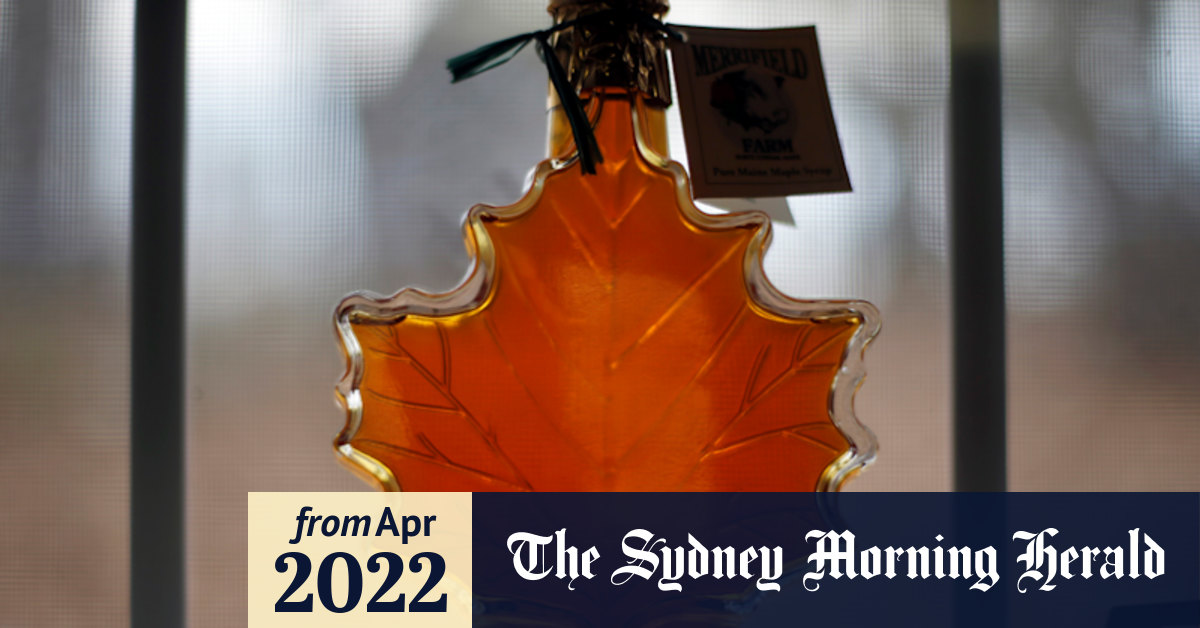 Maple heist: Man behind ‘great Canadian maple syrup heist’ fined $9.5 ...