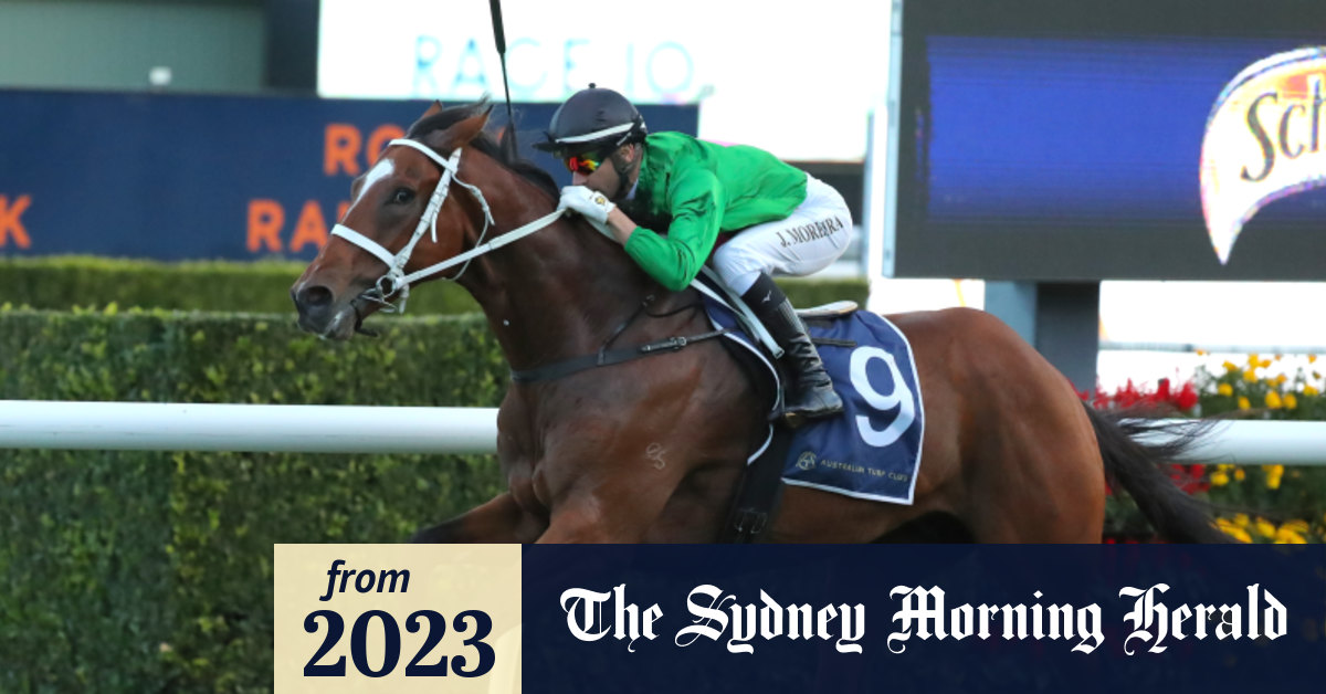 Racing 2023: Trainer Chris Waller spots his runners when blessed with ...