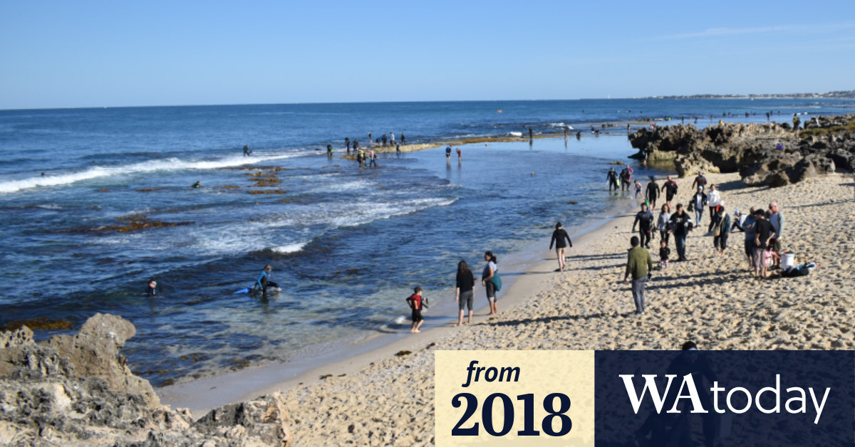 'It's our family ritual': Perth's abalone families come out to fish