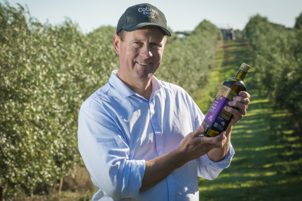 ASX CBO: Cobram Estate shows shareholder proxy advice in AGM season can ...