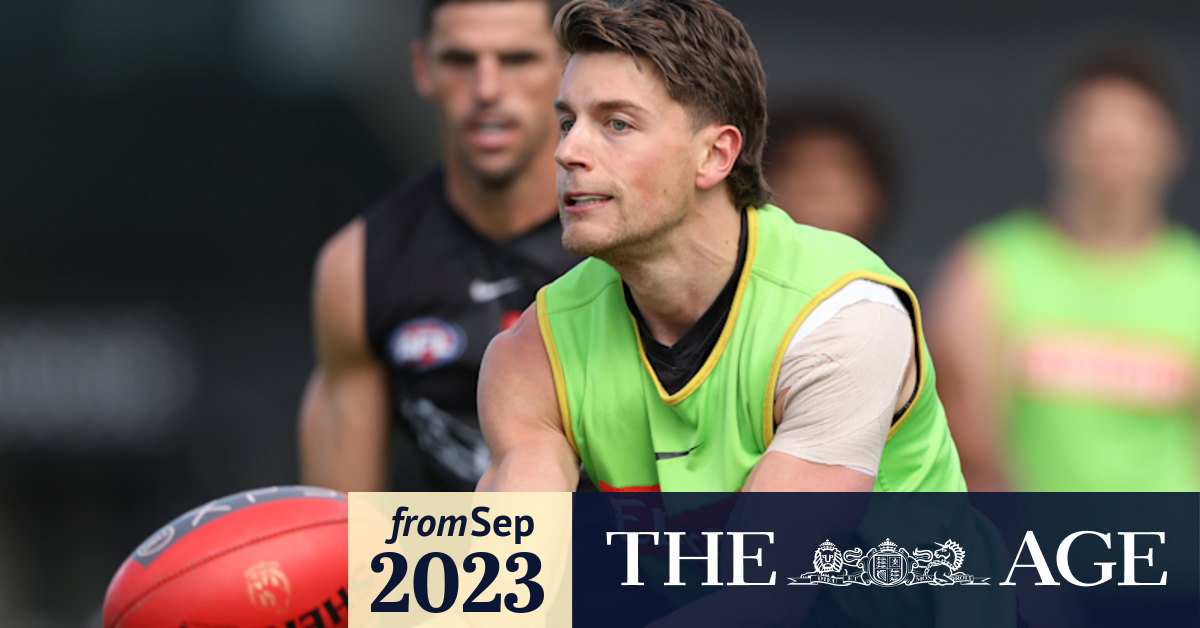 AFL Grand Final 2023: Patrick Lipinski named Collingwood Magpies sub ...