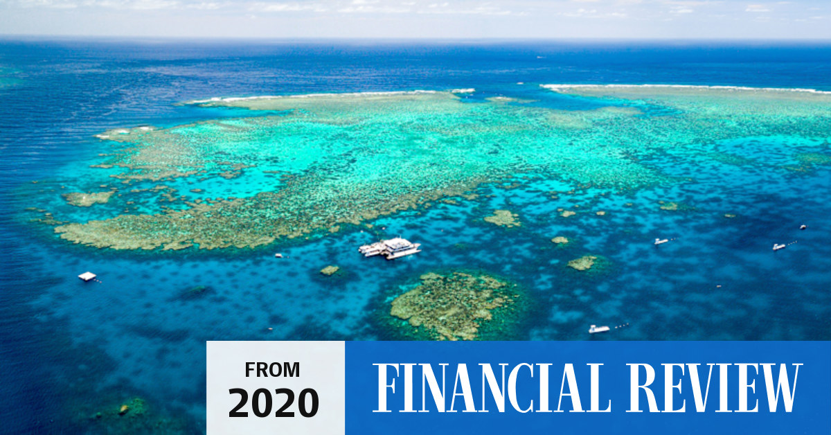HSBC, Queensland government buy first ever 'reef credits'