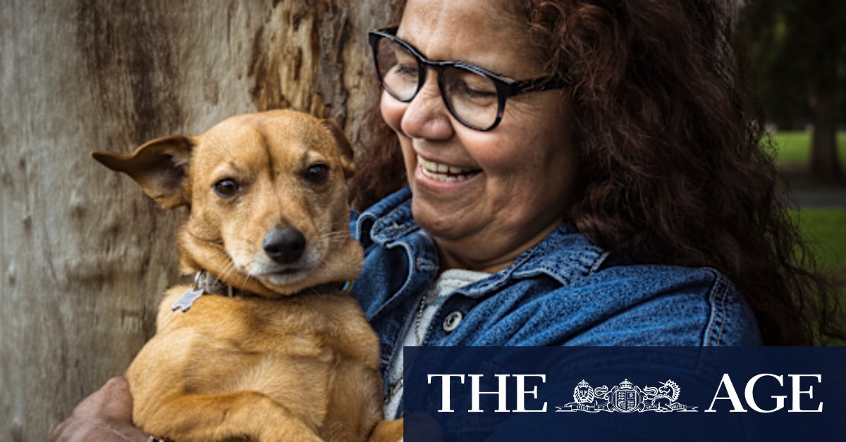 Aussie Desert Dogs: A dog’s journey from Yuendumu in the Northern ...