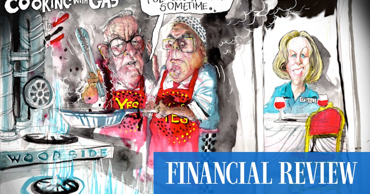 David Rowe cartoons for the Australian Financial Review January 2025