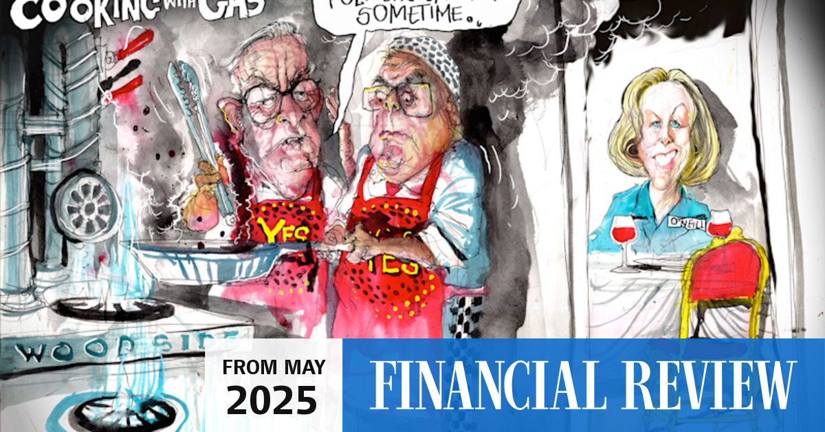 David Rowe cartoons for the Australian Financial Review January 2025
