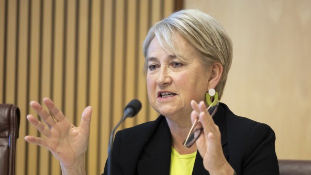 PwC scandal: Senator Barbara Pocock moves to publicly name partners ...