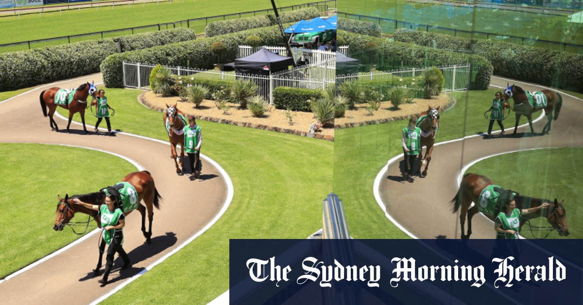 Race-by-race preview and tips for Warren on Sunday