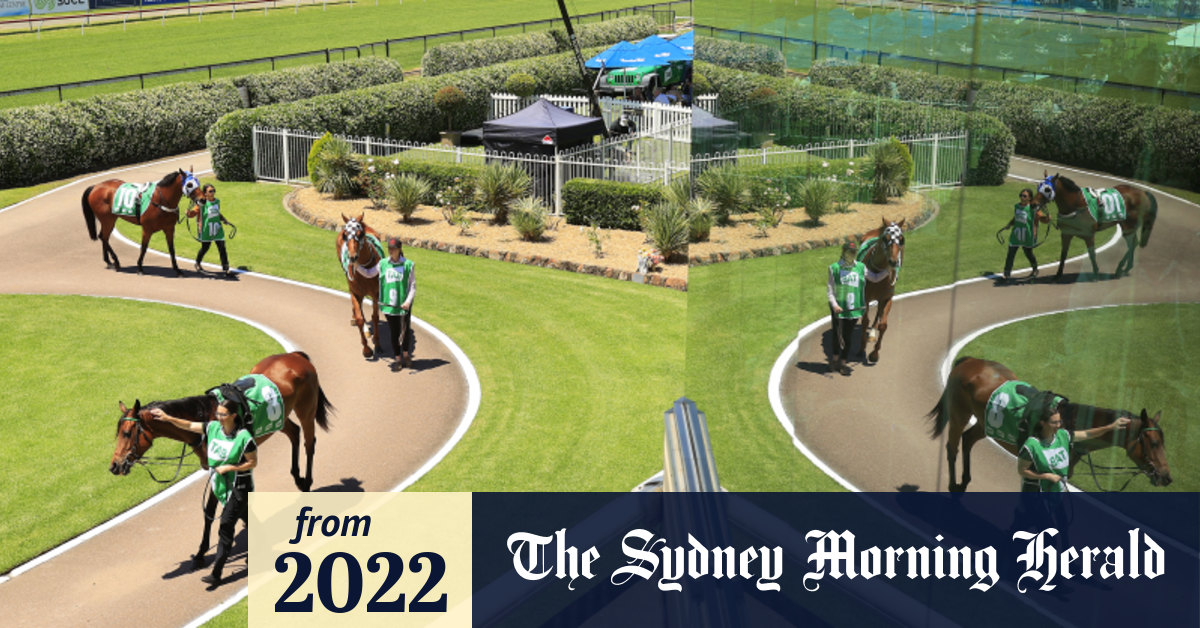 Racing 2022: Fast Response and Flexing chasing stepping stone wins at ...