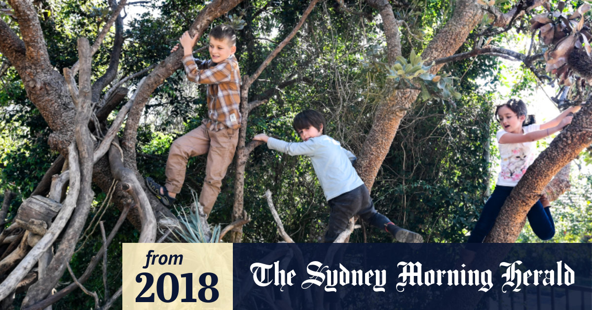 Literacy and numeracy push sidelining play in early years