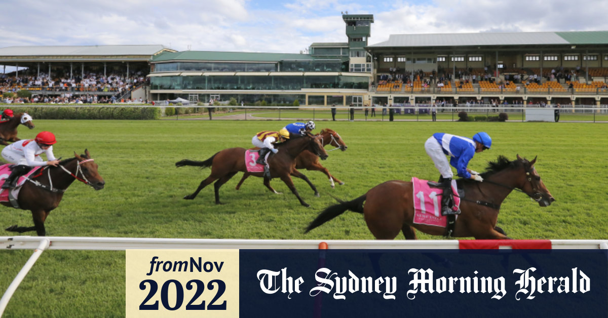 Newcastle races Tuesday tips and full preview