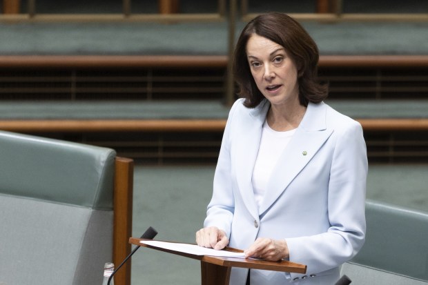 Mackellar MP Sophie Scamps leads push to limit junk food advertising to ...