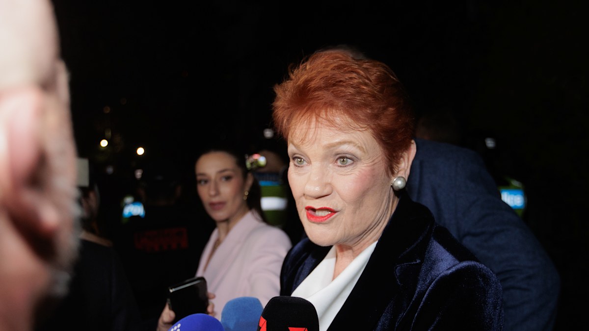 Pauline Hanson: Protesters crash heavily guarded One Nation fundraising ...