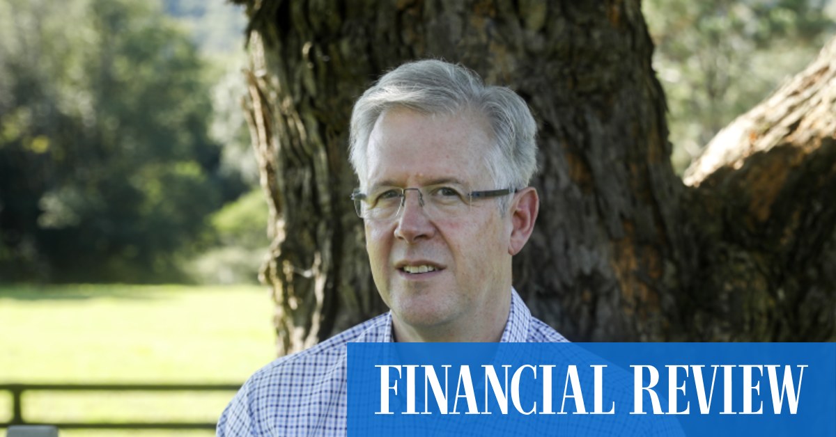 Packhorse Pastoral cattle station portfolio up for sale after death of ...