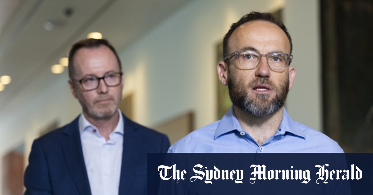 Israel-Palestine: Greens staff lead protests, voice support for Jewish ...