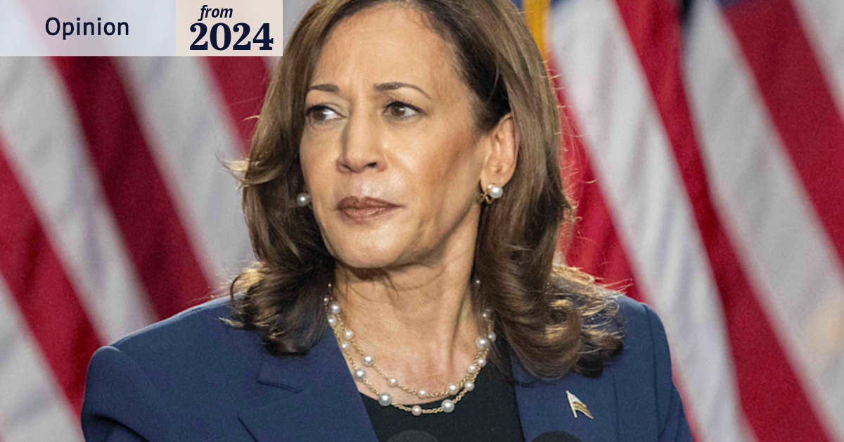 US election 2024: Kamala Harris’ childless cat lady’ label is white ...