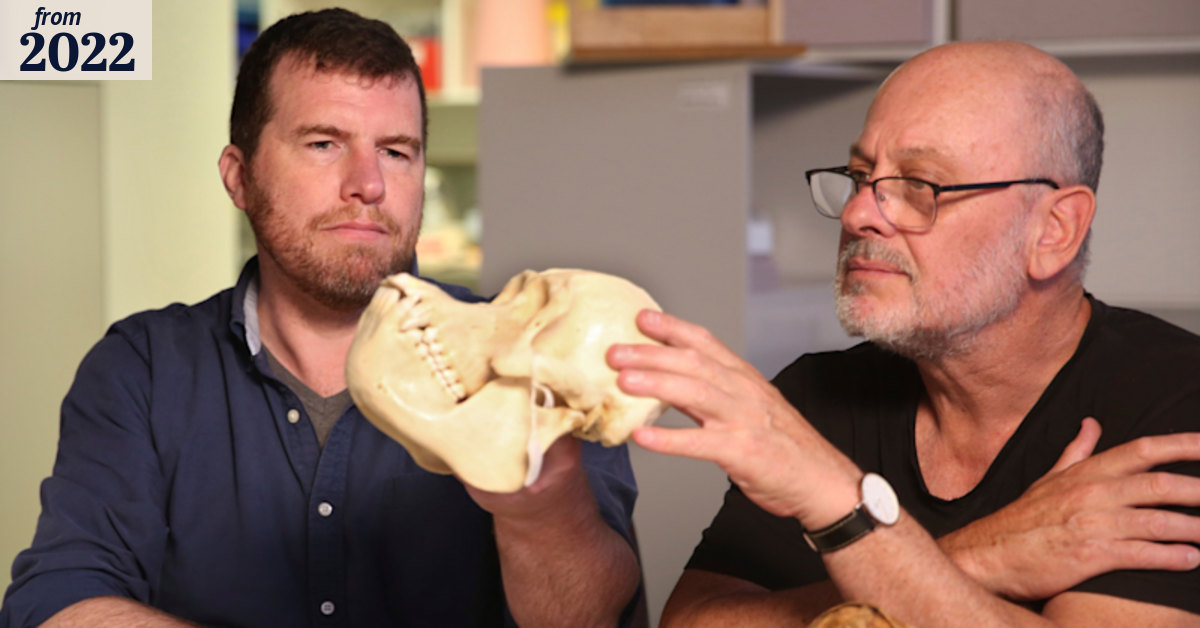 ‘Remarkable Australian story’: Tiny Jurassic teeth rewrite history of ...