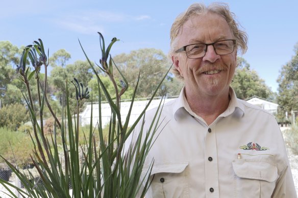 Climate change drives Perth’s creation of new blue kangaroo paw
